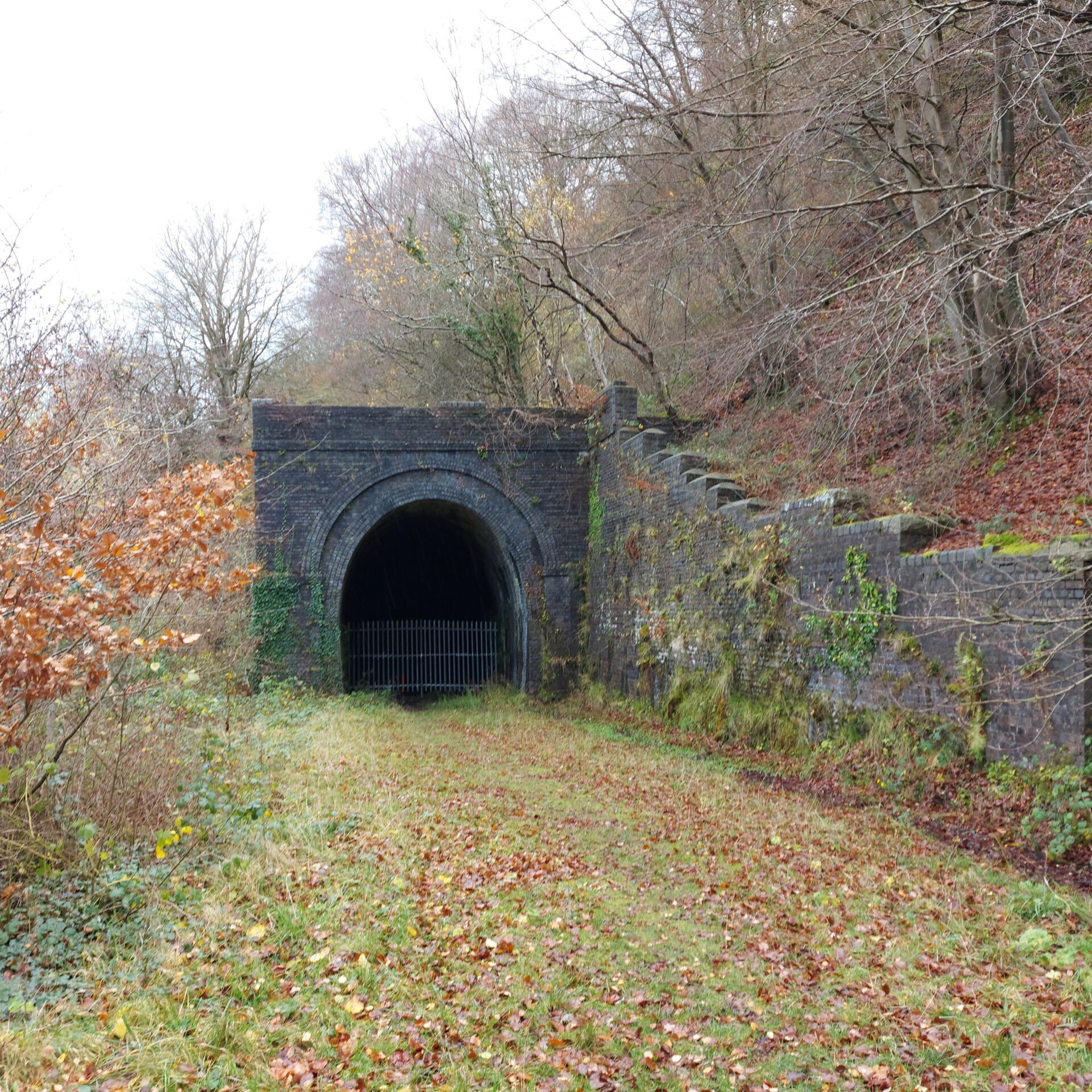 Clydach Gorge - BGHF