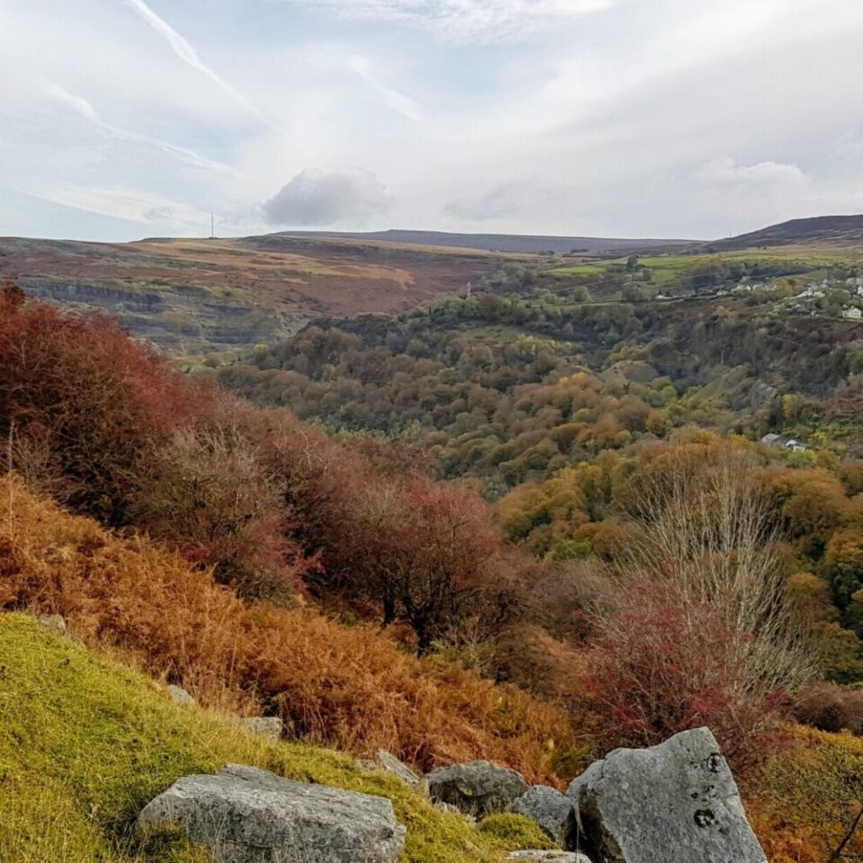 Clydach Gorge - BGHF