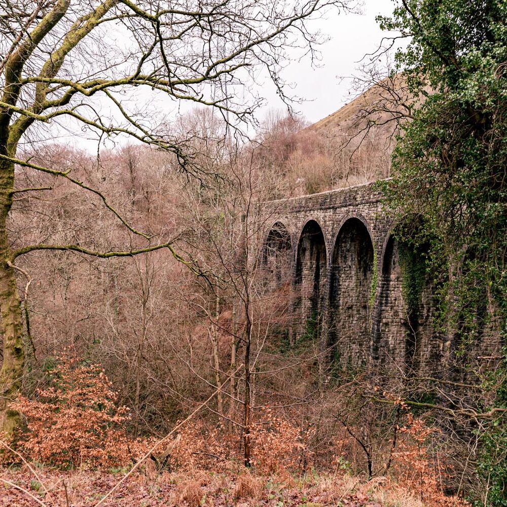 Clydach Gorge - BGHF