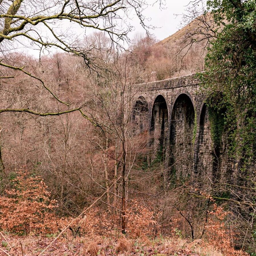 Clydach Gorge - BGHF
